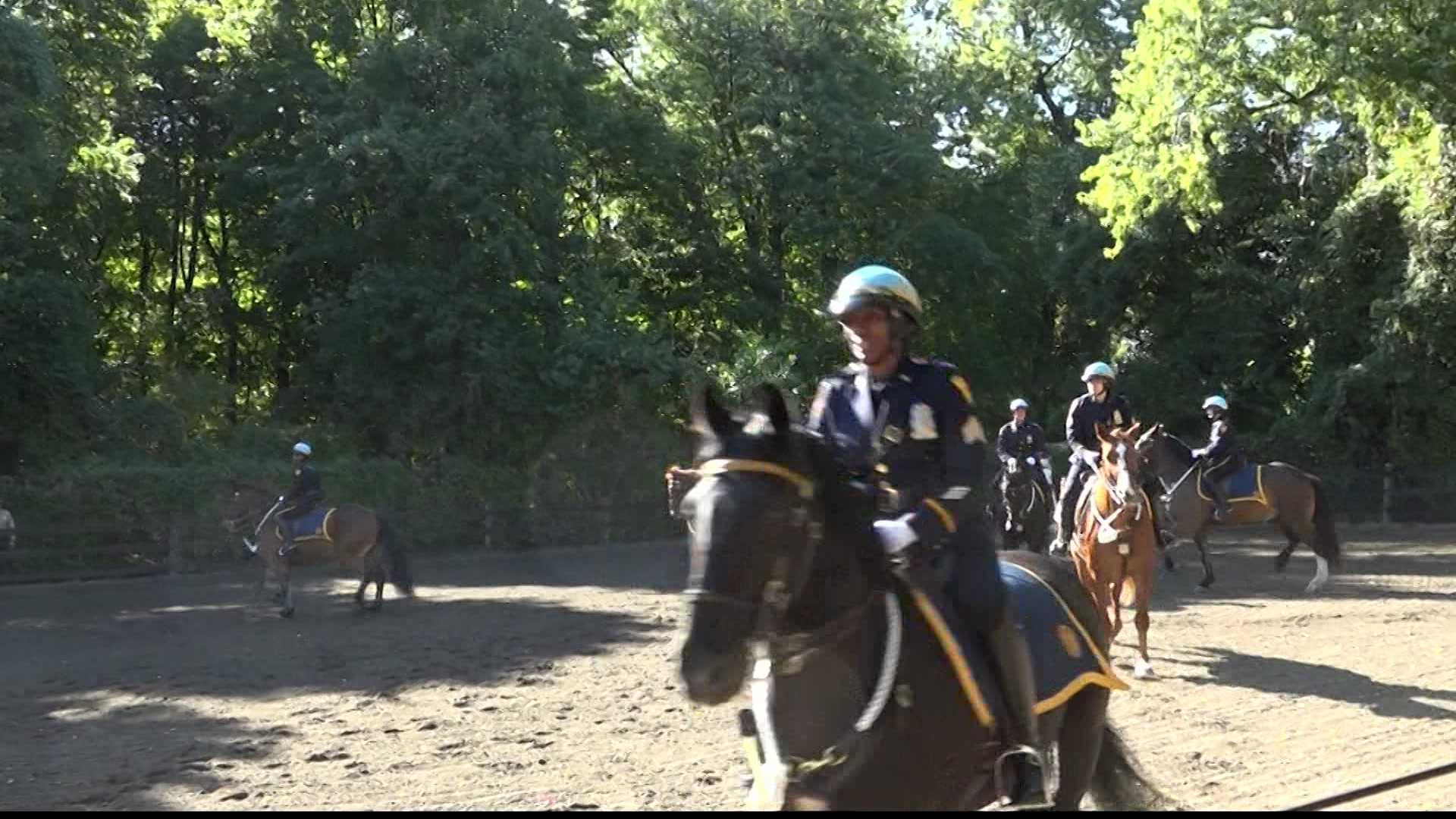 NYPD holds graduation held for newest mounted unit officers