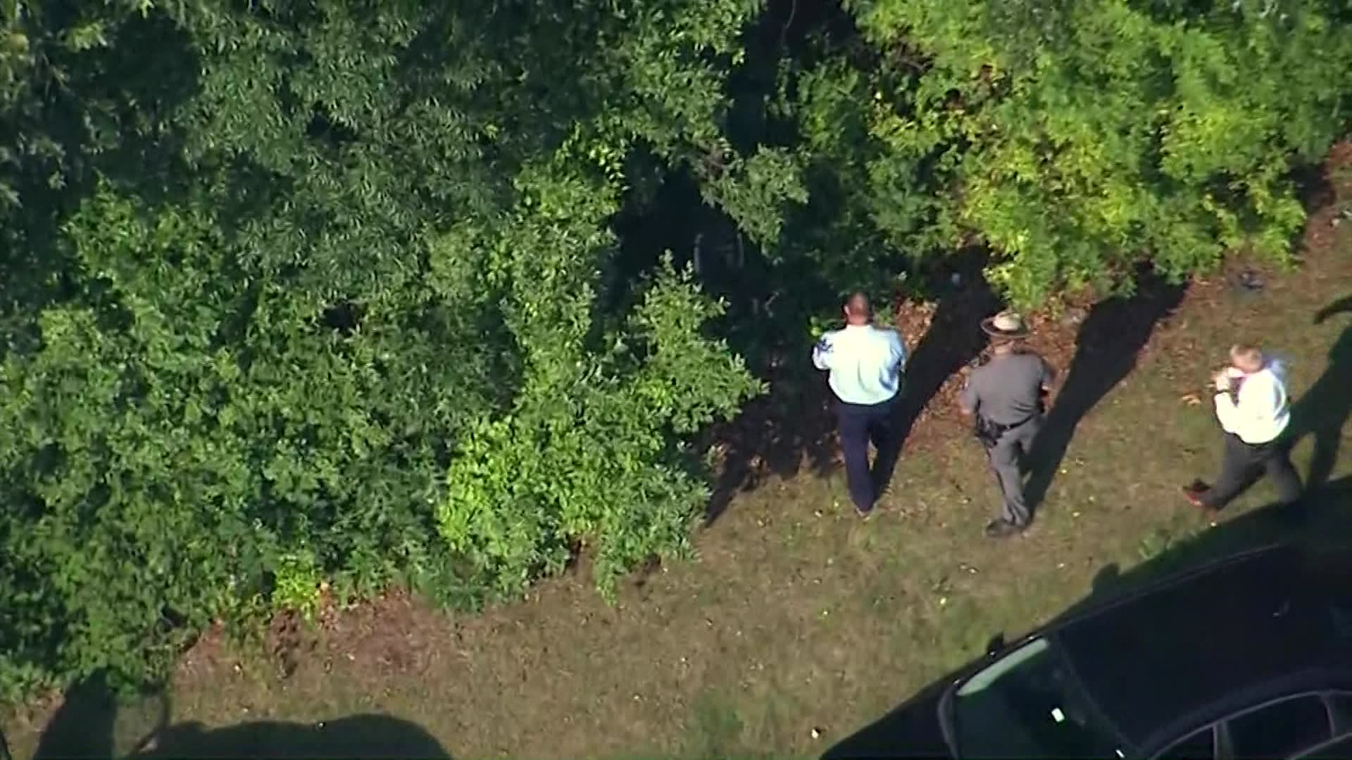Police Human Remains Found Off Southern State Parkway In West Islip