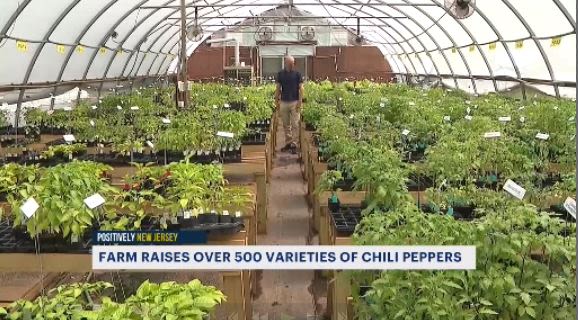 Positively New Jersey: Visit the world’s largest chili pepper farm