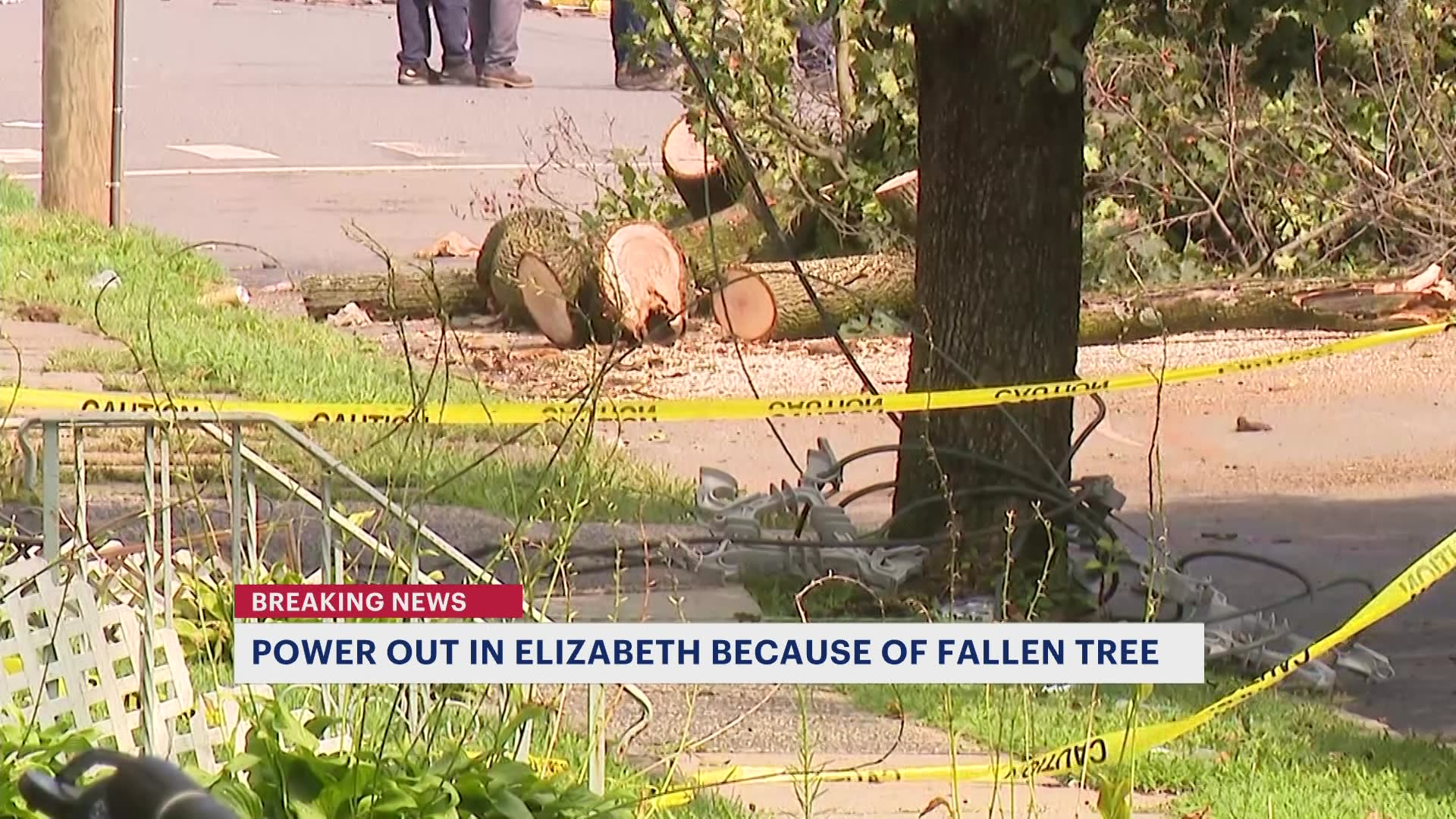 Fallen tree in Elizabeth causes power outage for at least 300 customers