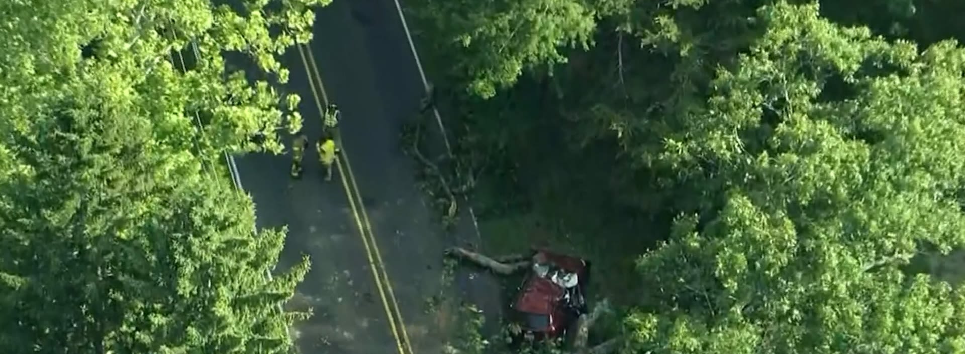 State police: 1 dead, 1 injured when tree branch snaps, falls onto car
