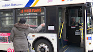 Bee Line Bus Fares To Be Free During Holiday Season In Westchester