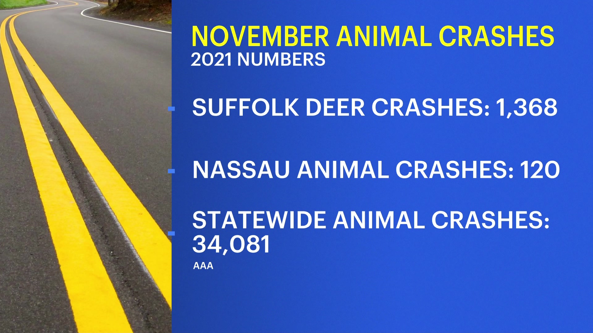AAA: Suffolk leads state with most deer-related crashes last year