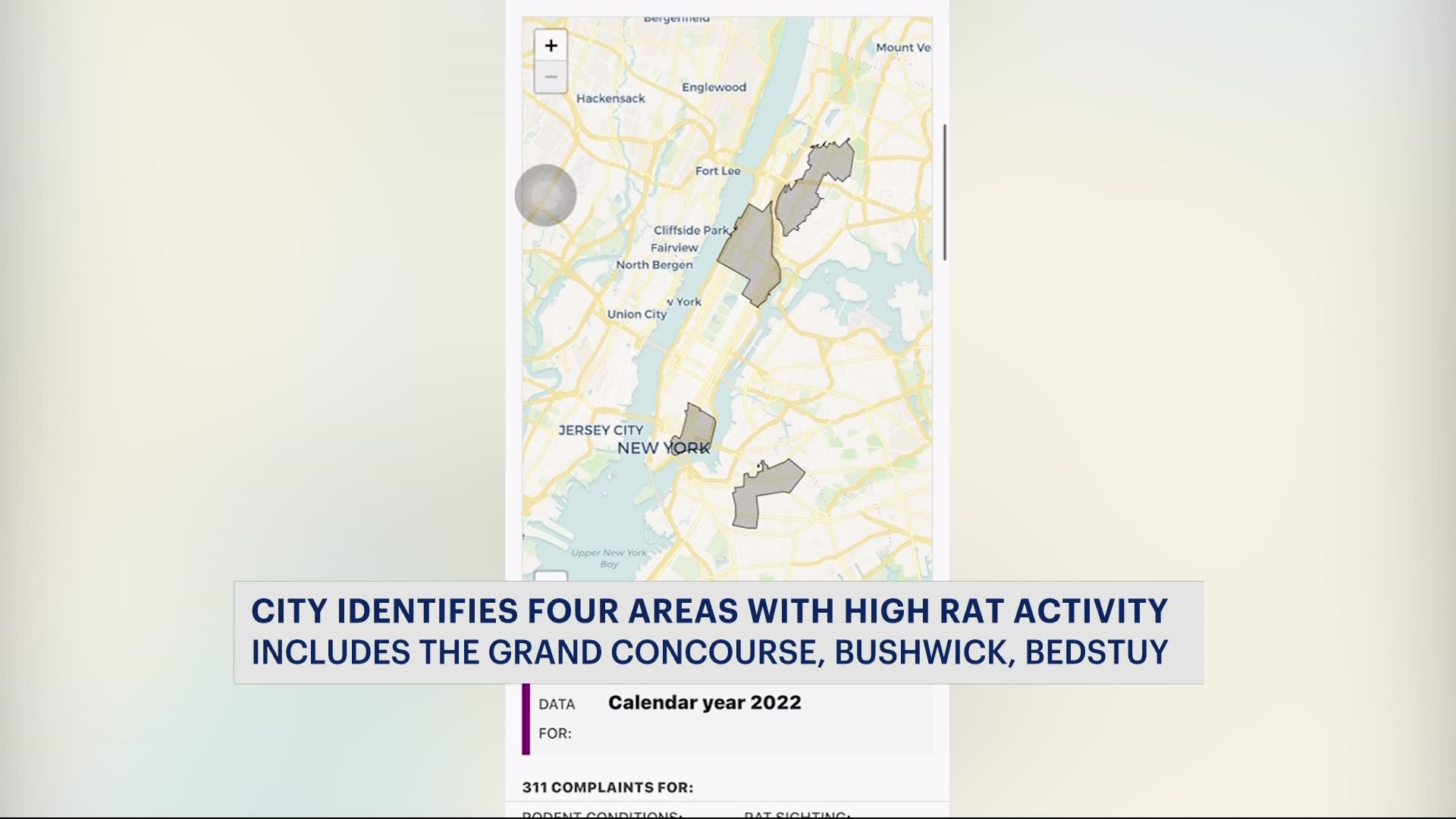 City sets sights on four areas with high levels of rat activity
