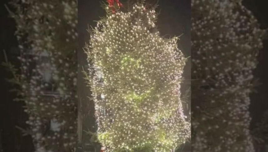 'Hideous' Christmas tree gone viral in Woodstock to be replaced Wednesday