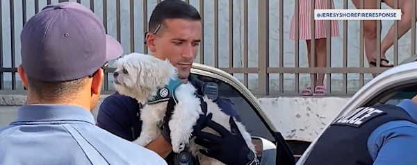 Police rescue dog trapped in car for 45 minutes; owner didn't return ...