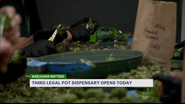 NYC's 3rd legal marijuana dispensary opens in Manhattan