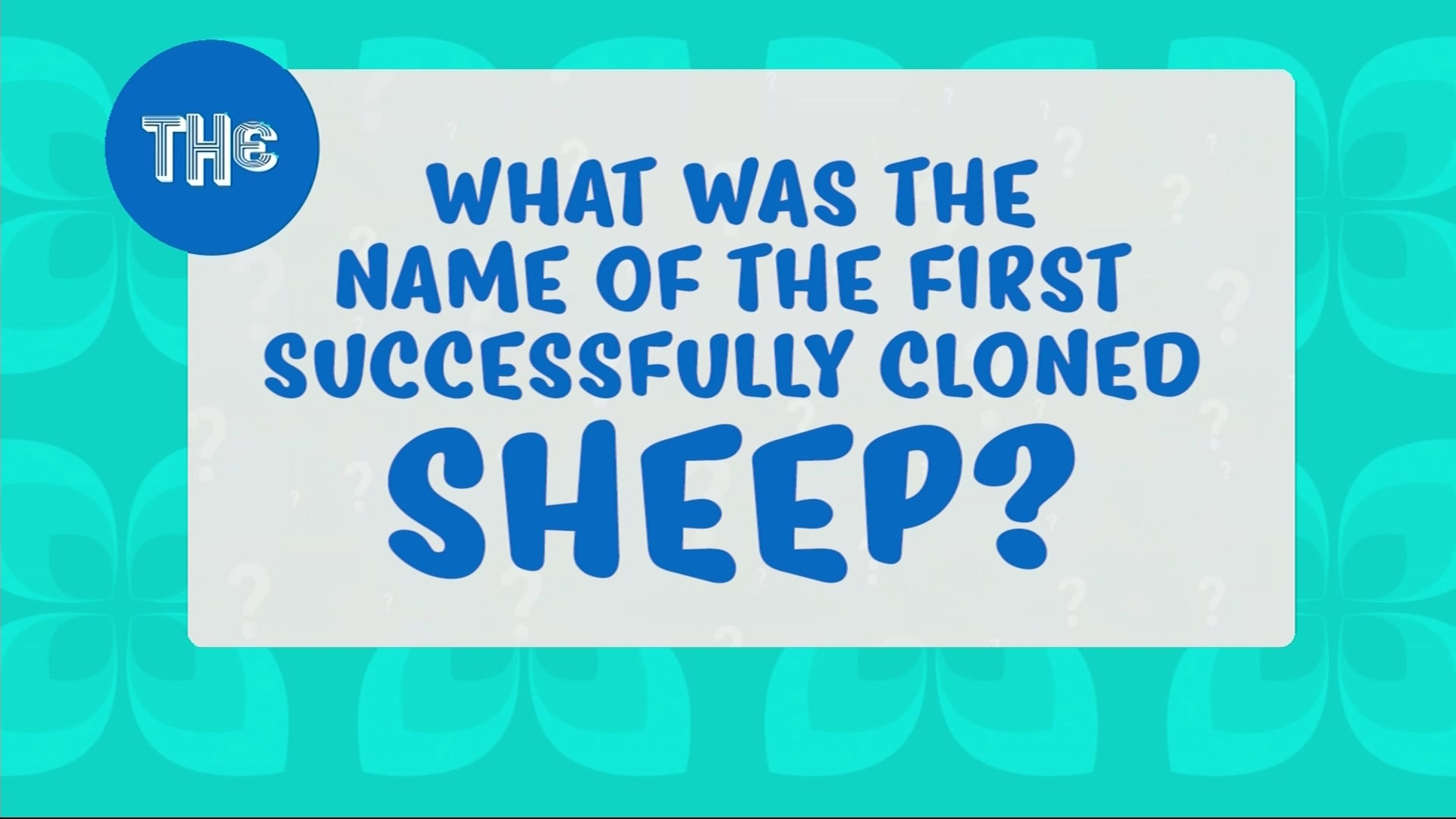 On the Spot: 90s Trivia