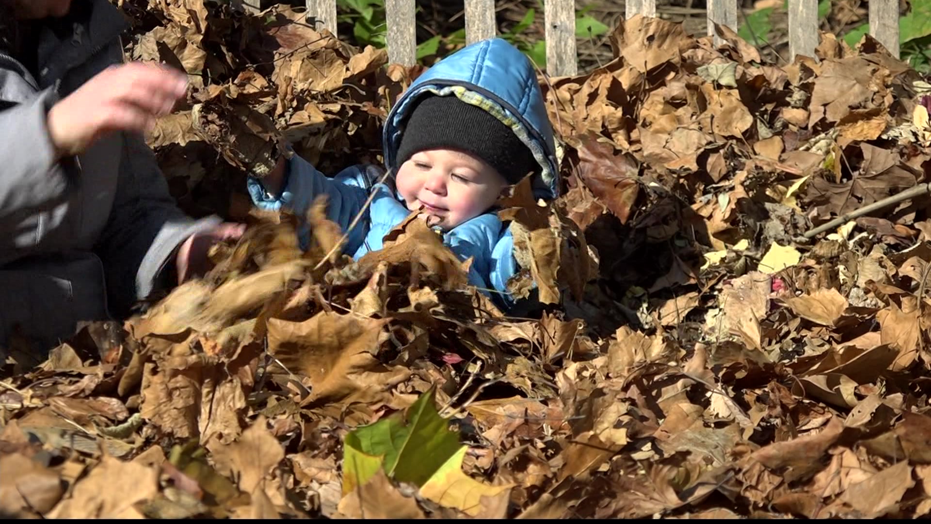 Fall Leaf Crunch held in Ewen Park