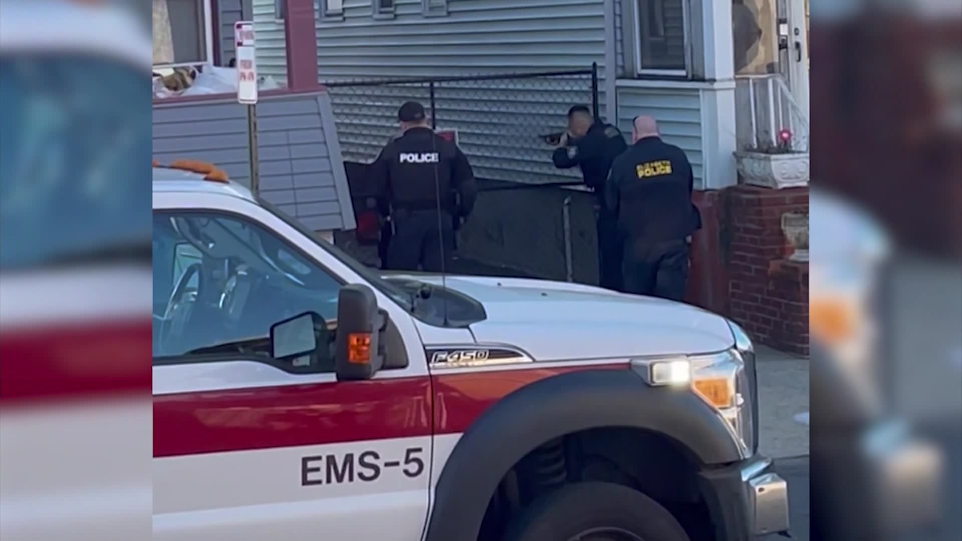 Police officers fatally shoot 2 pit bulls who were attacking owner