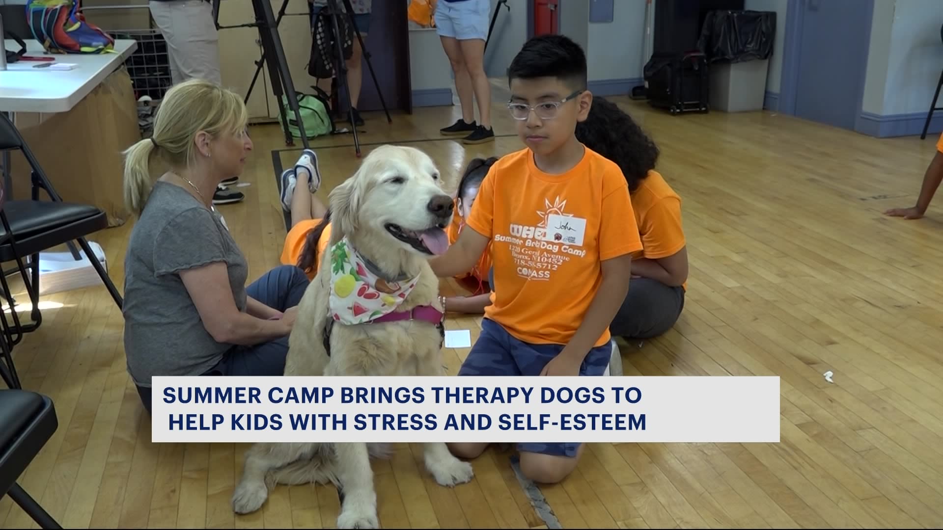 Meet Sunshine and Bernie: Therapy dogs help campers unwind, improve ...
