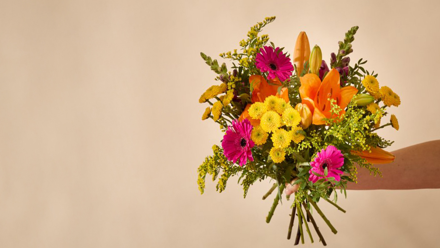 Letterbox Flowers Plants Next Day Delivery Moonpig