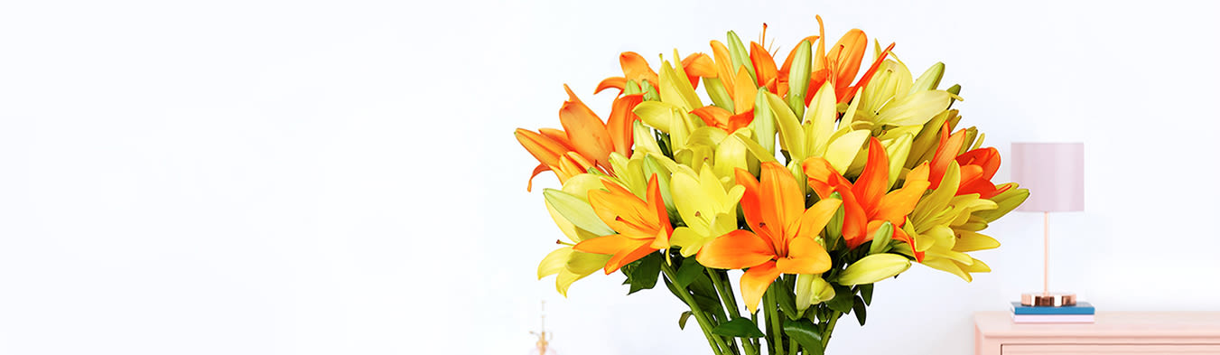 Flowers & Plants | Letterbox Flowers | Next Day Delivery | Moonpig