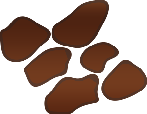 How Often Should You Poop? 10 Tips to Stay Regular | Metamucil