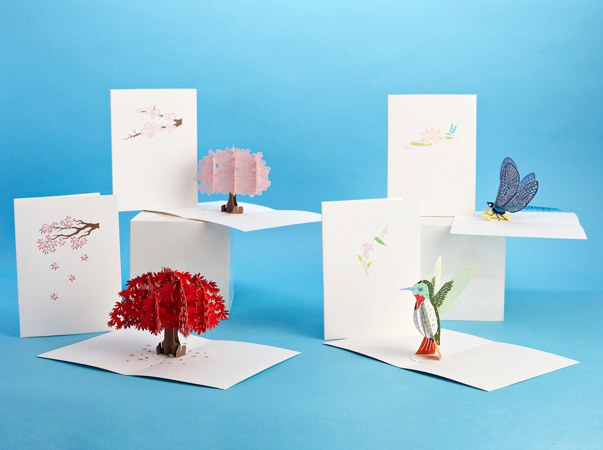 Notecards & Stationery | 3D Pop-Up Notecard Sets with Envelopes | Lovepop
