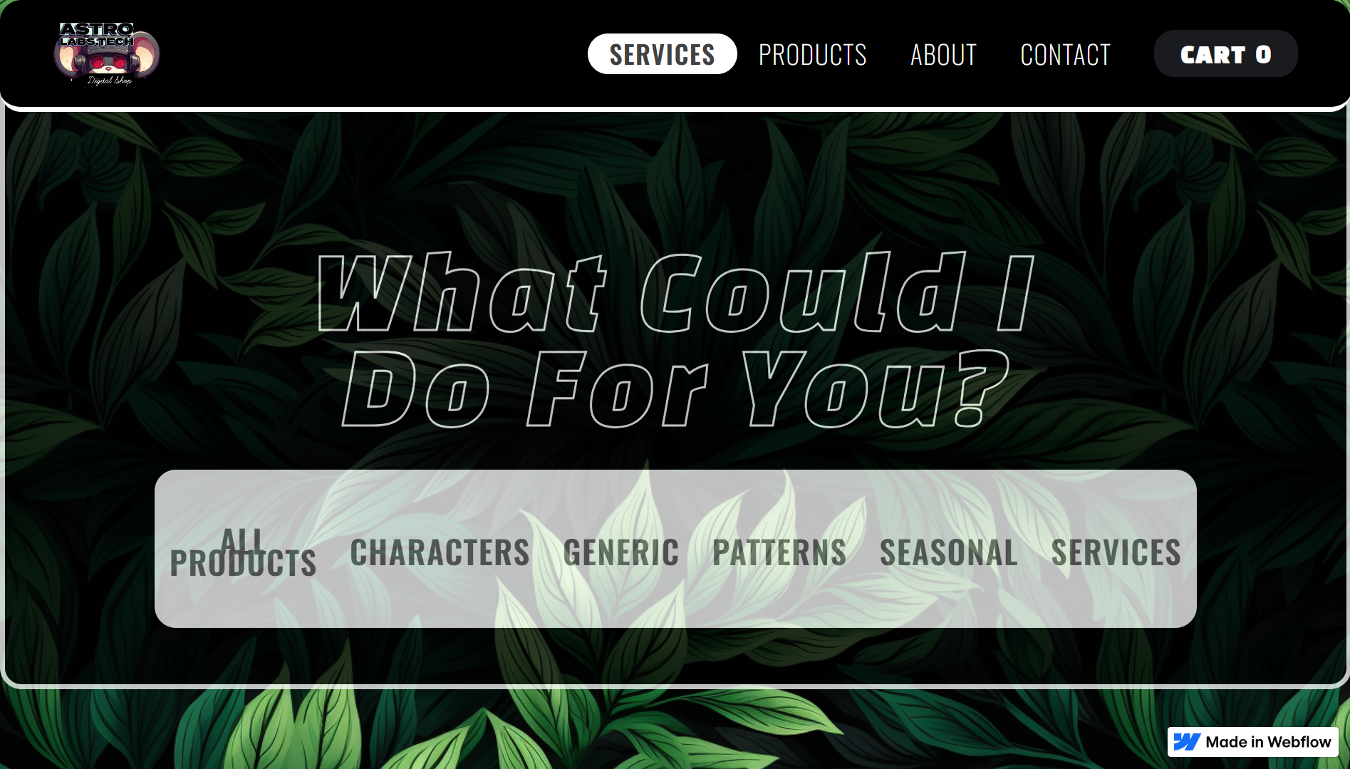 Orlando Web Developer | Nico Loperena | Helping Local Businesses