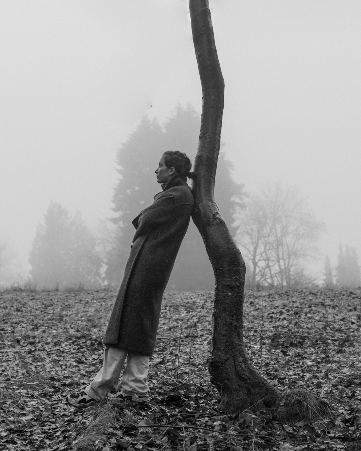 Portrait • Evelyn Dragan