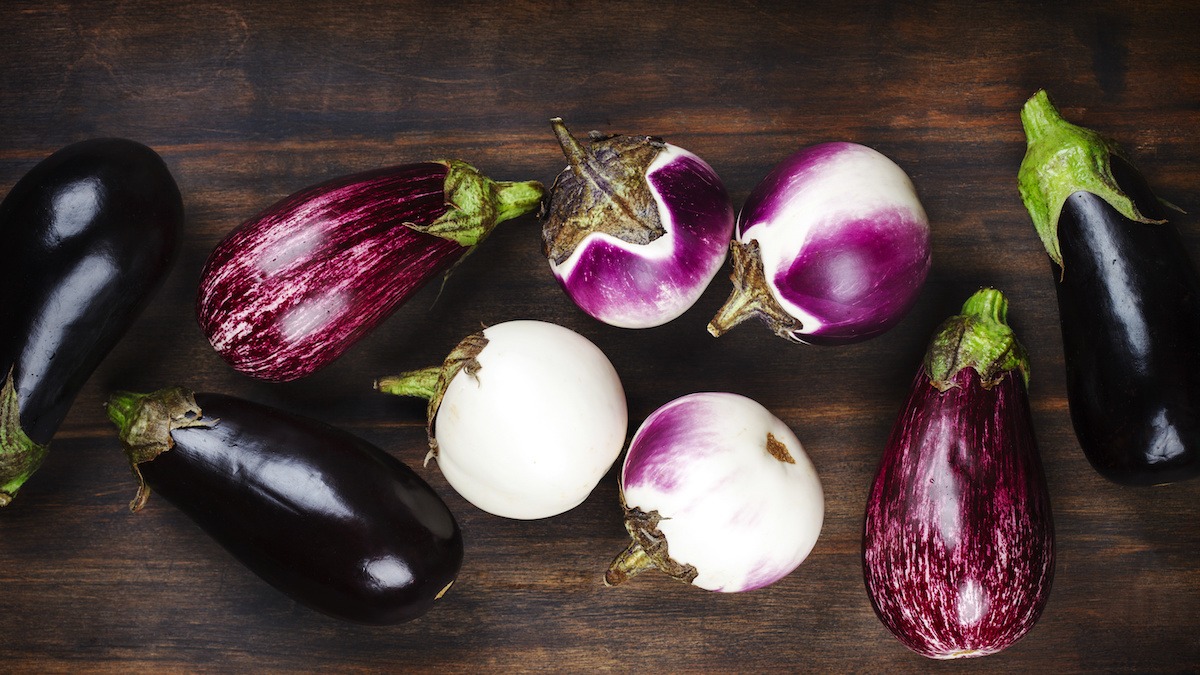 Eggplant Color Varieties 11 Types Of Eggplants With Recipe Ideas To