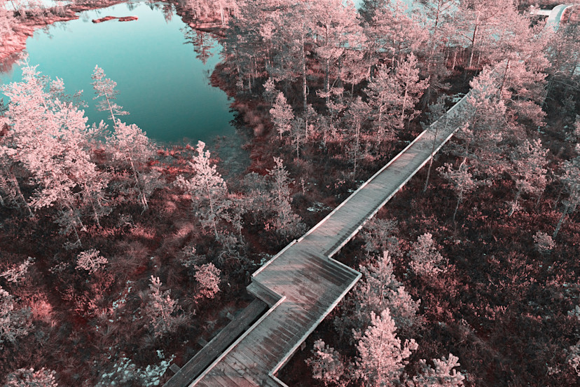 Infrared Photography Guide: How to Create Infrared Images - 2025 ...