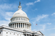  What Is The Main Purpose Of The Legislative Branch 99 POINTS PLEASE 