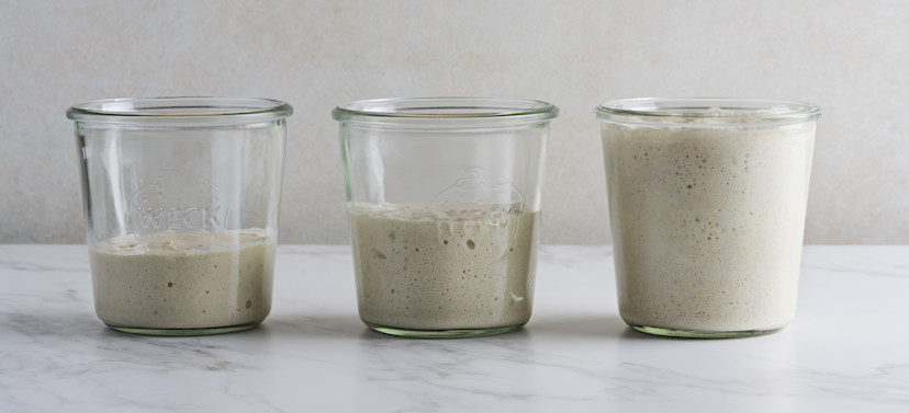 Overproofed Sourdough Tips and Tricks With Apollonia Poîlane - 2025 ...