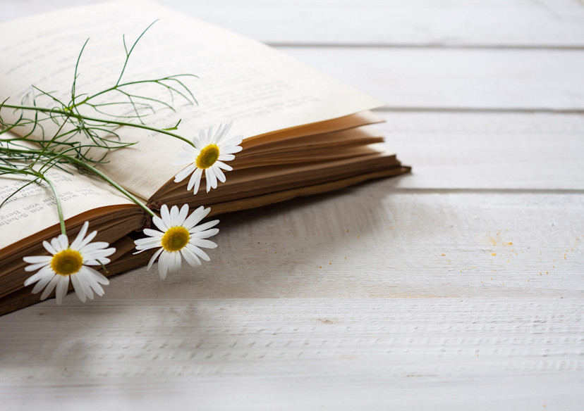 Understanding Object Poems: 4 Tips for Writing Object Poetry - 2025 ...