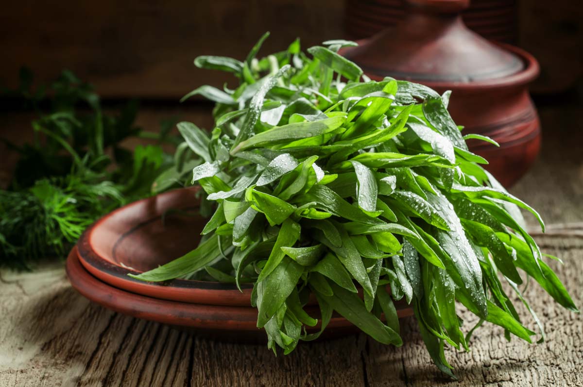 A Culinary Guide to Tarragon, Plus 9 Recipes Using Tarragon - 2022 ...