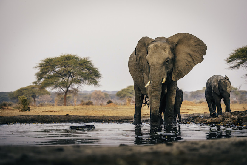 Wildlife Preserves Explained: 5 Examples of Nature Preserves - 2026 ...