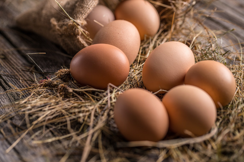 How to Wash Fresh Eggs in 4 Steps - 2026 - MasterClass