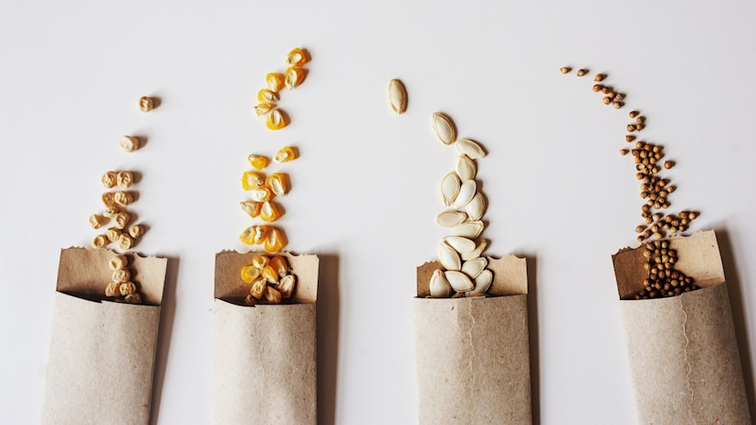 Types of Seeds: Heirloom, Hybrid, and Open-Pollinated Seeds - 2026 ...