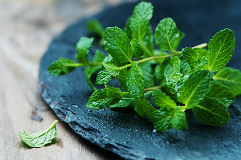How to Store Fresh Mint: 3 Methods for Storing Mint - 2025 - MasterClass