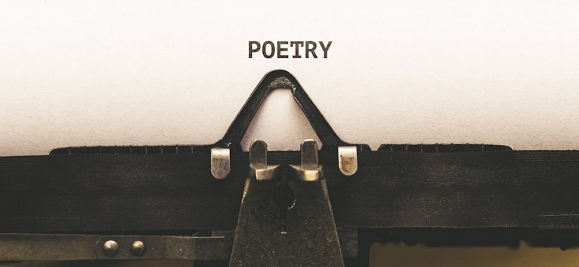 Poetry 101: What Is Alliteration in Poetry? Alliteration Definition ...