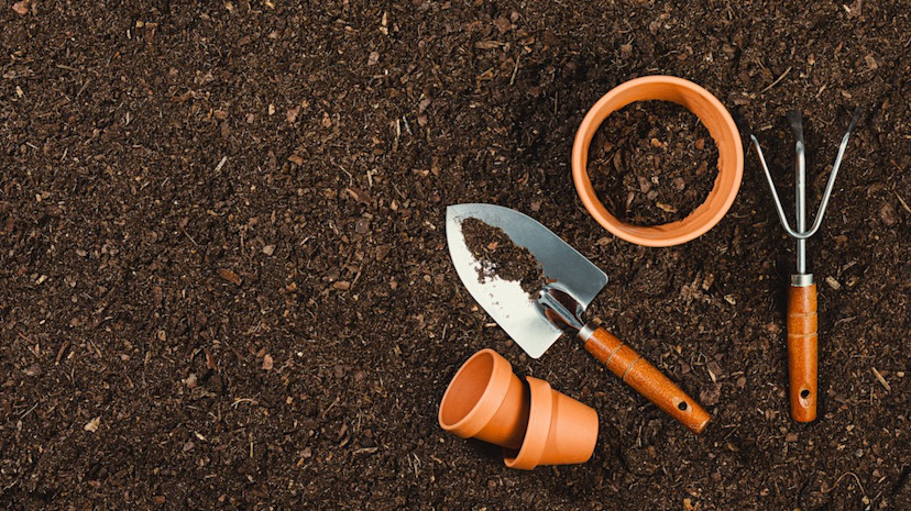 How to Create Loam Soil for Your Garden - 2026 - MasterClass