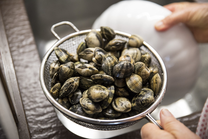 How to Store Clams: 3 Methods for Storing Clams - 2025 - MasterClass
