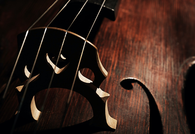 How to String a Cello: 4 Tips for Stringing a Cello - 2025 - MasterClass