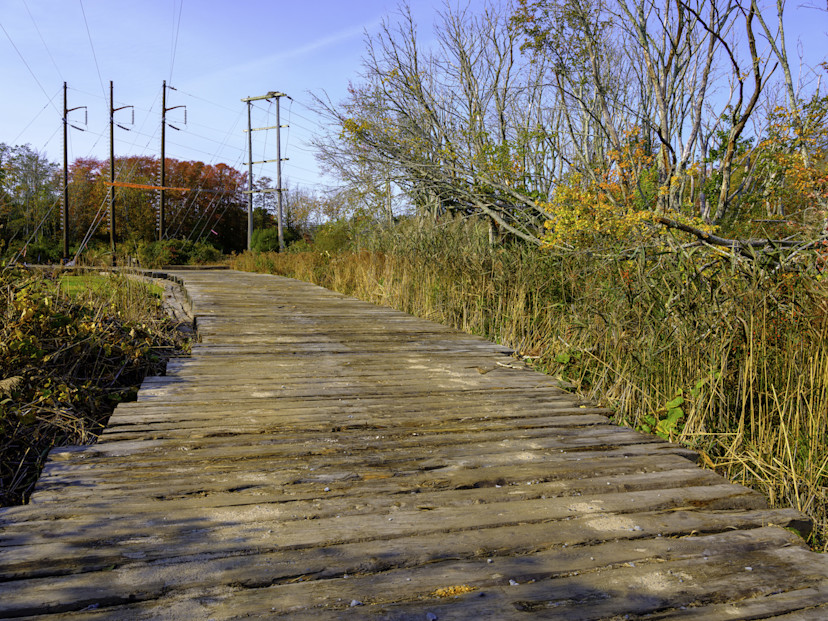 What Is an Easement in Real Estate? Definition and Examples - 2026 ...