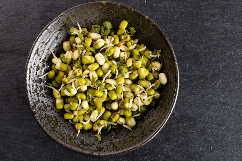 How to Sprout Beans in 7 Steps - 2025 - MasterClass