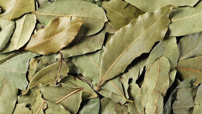 How to Dry Bay Leaves: 4 Methods for Drying Bay Leaves - 2025 - MasterClass