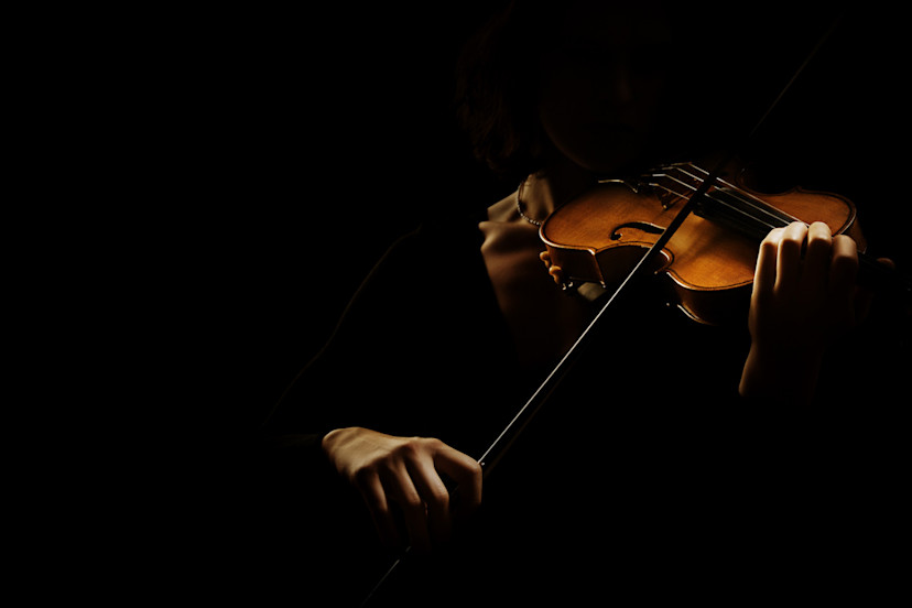 Violin 101: What Are the Violin Hand and Finger Positions? Learn About ...