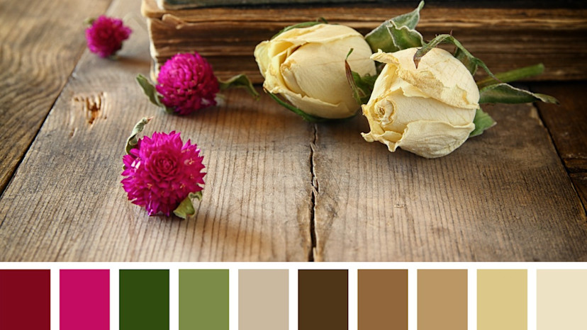 5 Ways to Create a Film Color Palette: How to Use Color in Film - 2025 ...