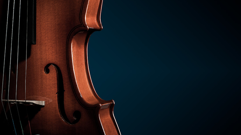 Violin 101: What Is a Violin Shoulder Rest? Learn About 3 Types of ...