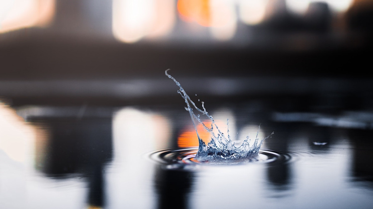 A Basic Guide to Circle of Confusion in Photography - 2022 - MasterClass