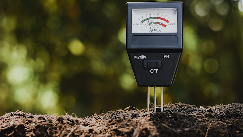 How to Adjust Soil pH to Help Your Garden Thrive - 2025 - MasterClass