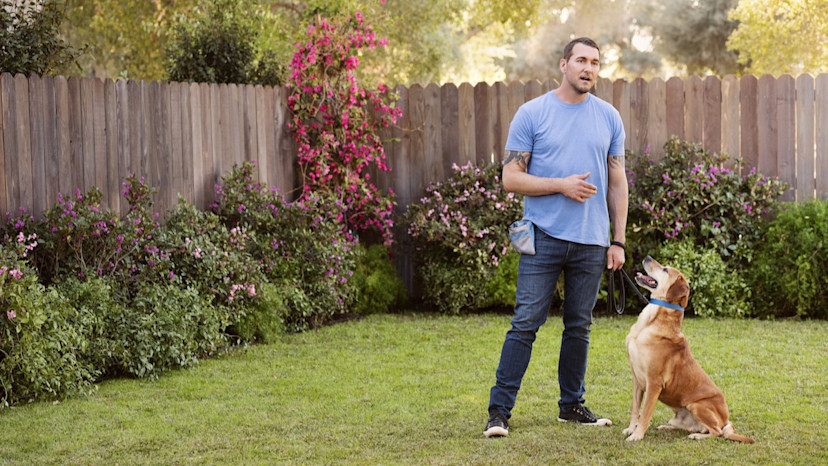Housetraining Dogs: Brandon McMillan’s Housetraining Triangle - 2026 ...