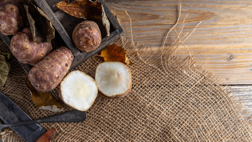 Tubers vs. Rhizomes: What’s the Difference? - 2026 - MasterClass