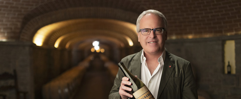 How to Taste Wine: 7 Tips From James Suckling - 2026 - MasterClass