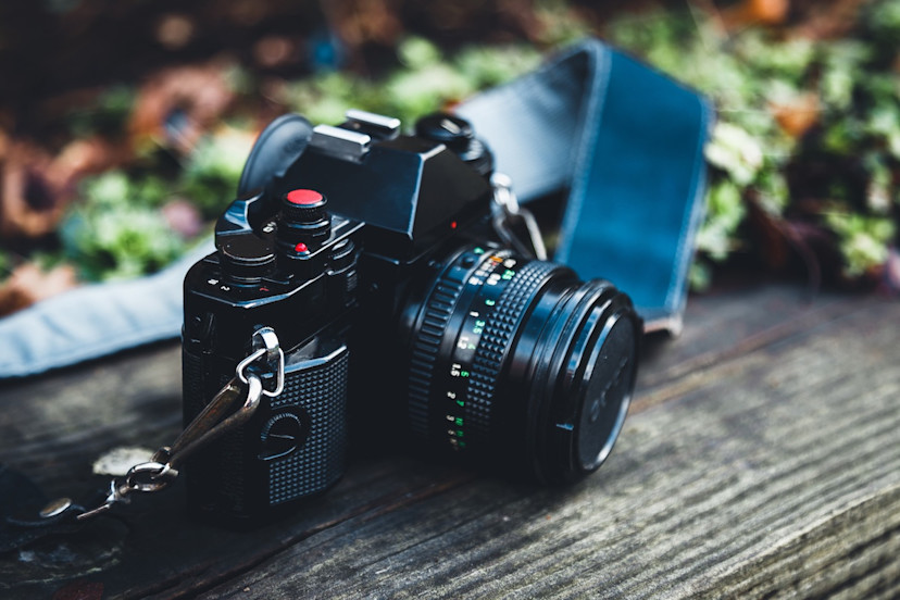 Types of Cameras: 9 Kinds of Cameras and Their Uses - 2025 - MasterClass