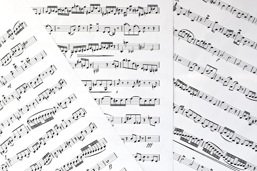 Music 101: What Are Musical Notes? Learn More About How to Read Music ...