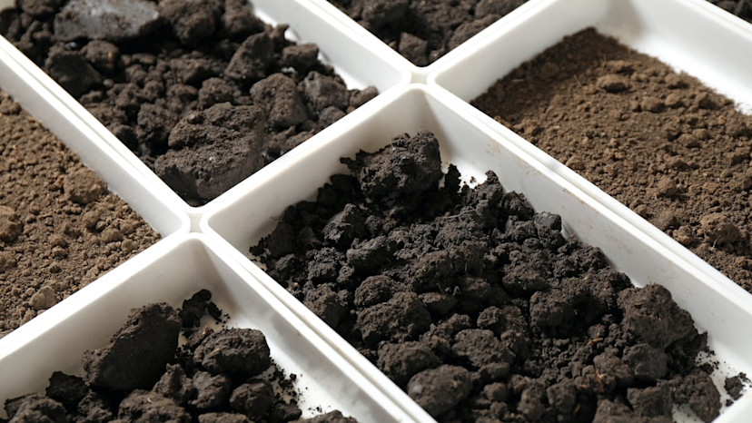 6 Soil Types: How to Prepare Different Soil Types for Gardening - 2026 ...