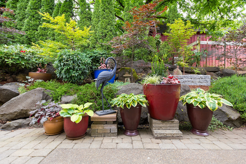Softscape Guide: 5 Softscaping Tips for Your Yard or Garden - 2025 ...